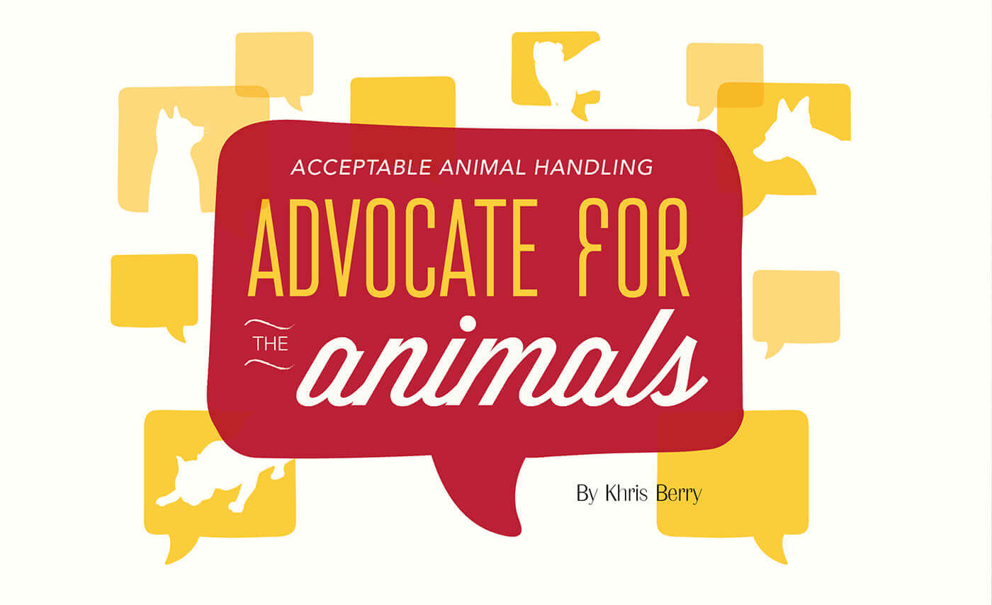 Acceptable Animal Handling: Advocate For The Animals | Pet Boarding and ...