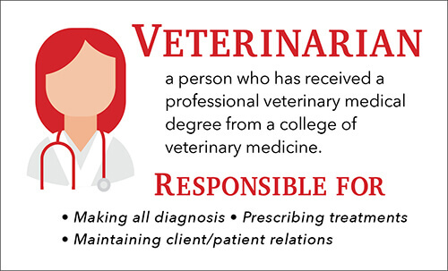 Understanding Titles & Roles In The Veterinary Hospital | Pet Boarding ...