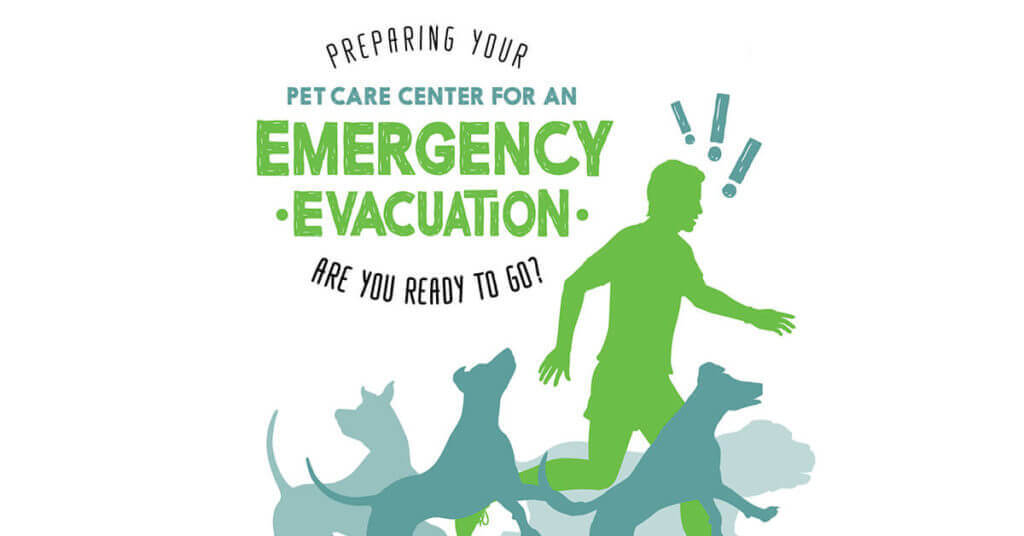Preparing Your Pet Care Center for an Emergency Evacuation: Are You ...