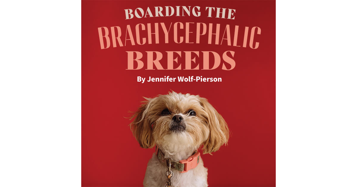 Boarding the Brachycephalic Breeds | Pet Boarding and Daycare Magazine