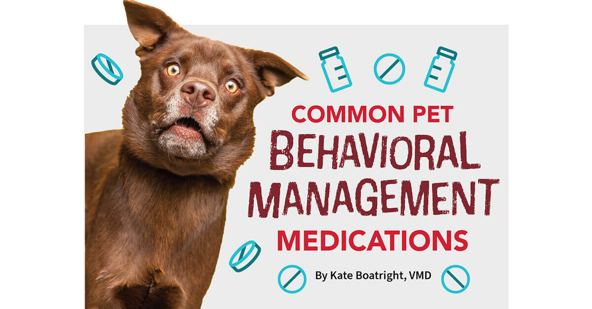 Common Pet Behavioral Management Medications
